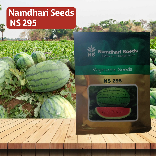 NS 295 F1 Hybrid Watermelon Seeds – Agriplex
