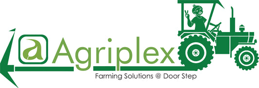 Management Of Major Insects Of Paddy – Agriplex