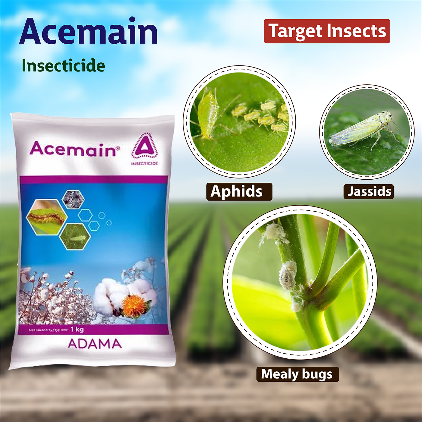 Adama Acemain (Acephate 75 % SP) Insecticide – Agriplex