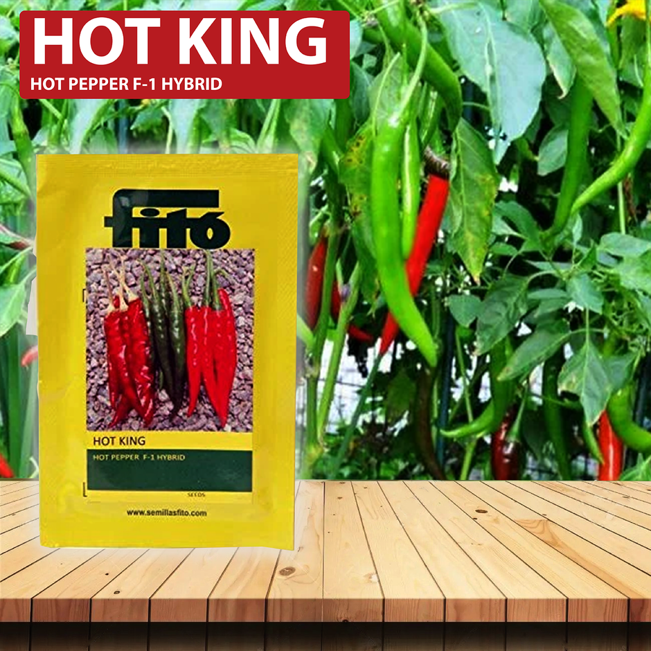 FITO Hot King Chilli Seeds - 2500 SEEDS – Agriplex