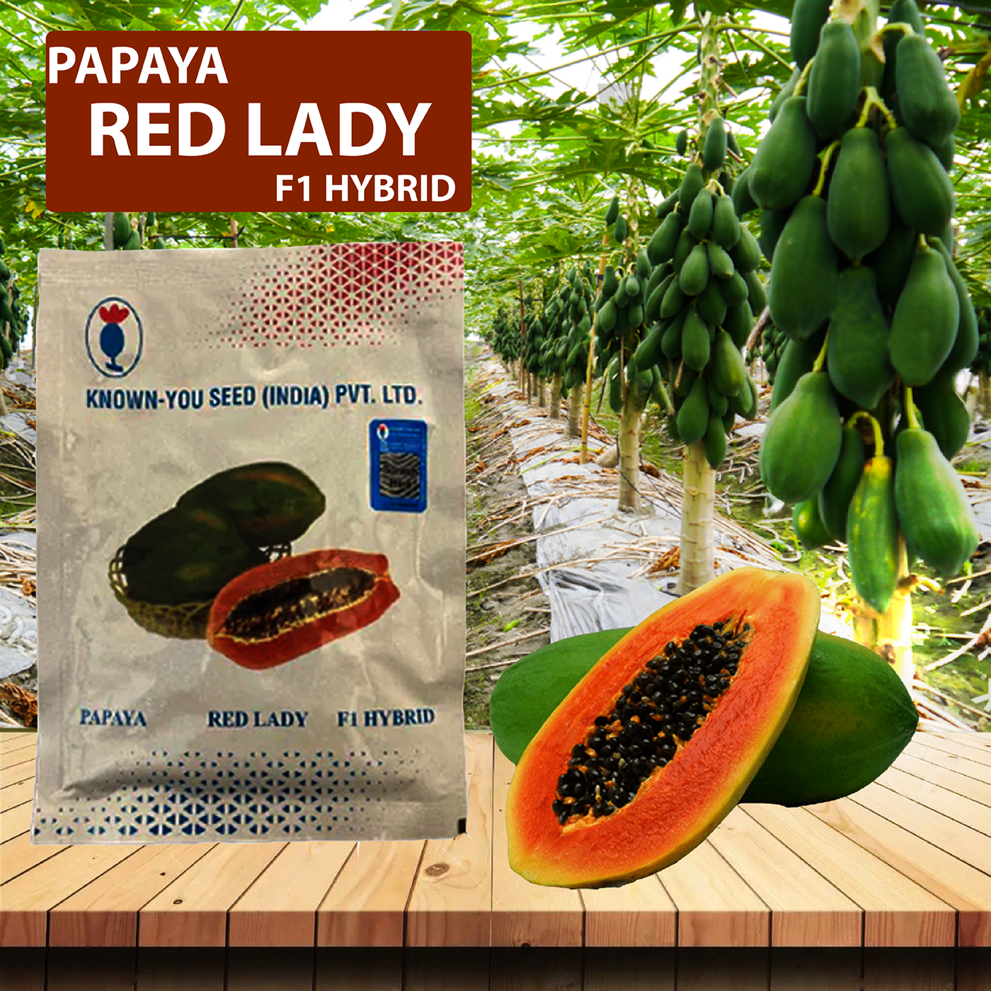 Known You Red Lady Papaya Seeds - 10 GM – Agriplex