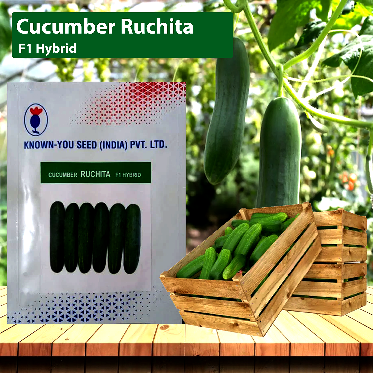 Unleash High-Yielding Cucumber Seeds Online - Agriplex