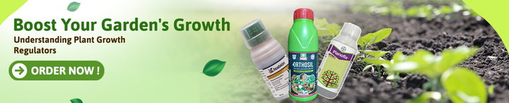 Plant Growth Regulators (PGRs) – Boost Crop Yield, Quality, and ...