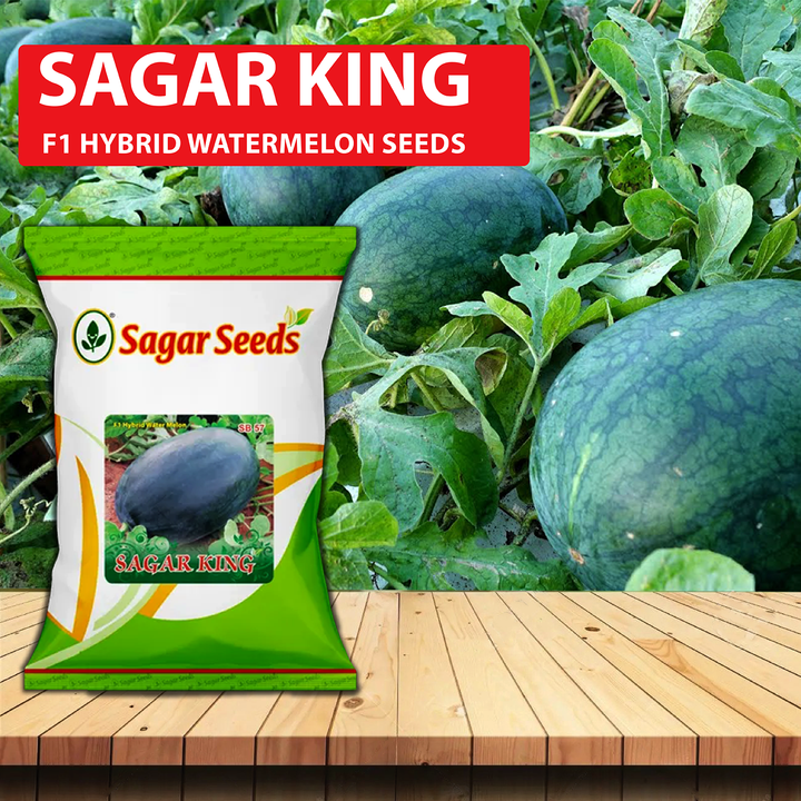 Buy Watermelon Seeds Online – Agriplex