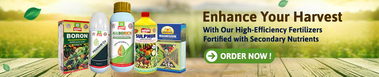Secondary Nutrients Fertilizers – Strengthen Crop Health and Quality with AgriplexLooking to ...