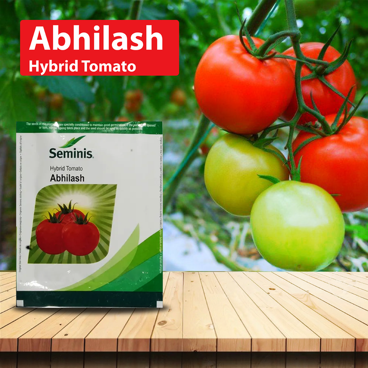 Buy Hybrid Tomato Seeds Online – Agriplex