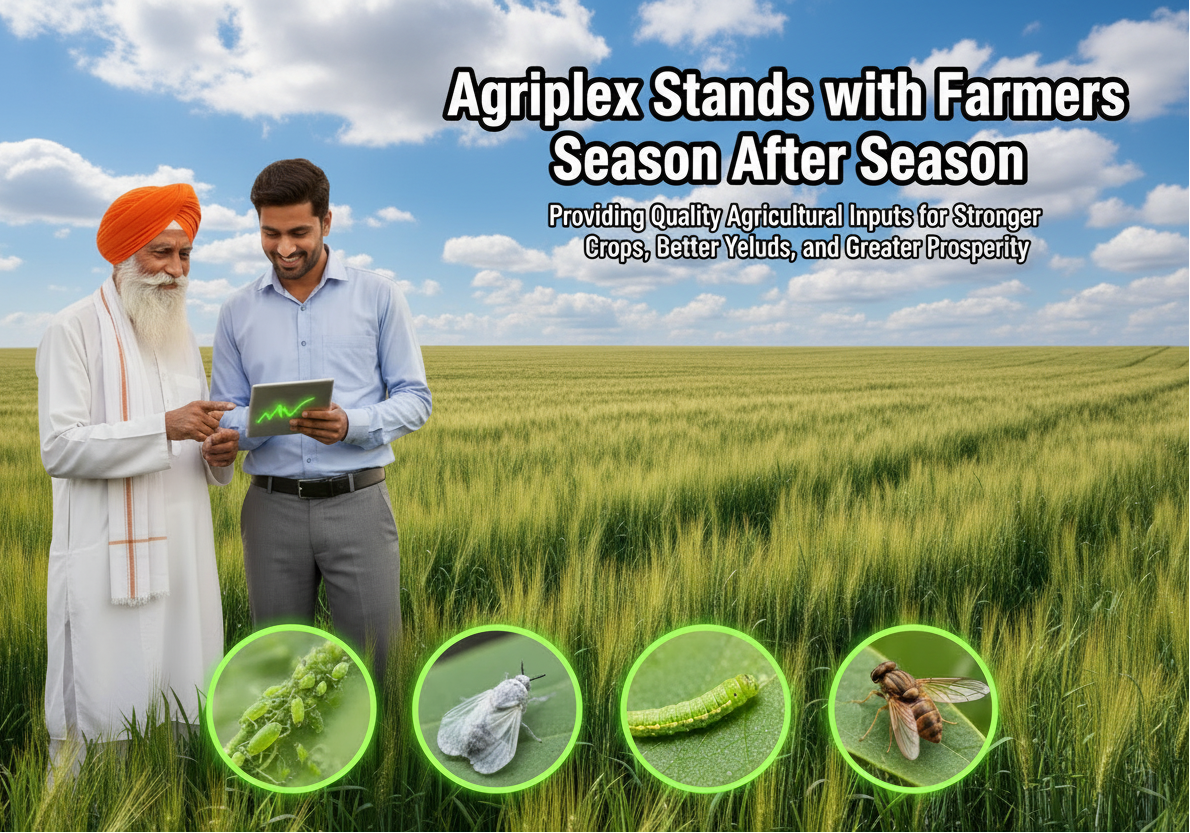 Adama Acemain (Acephate 75 % SP) Insecticide – Agriplex