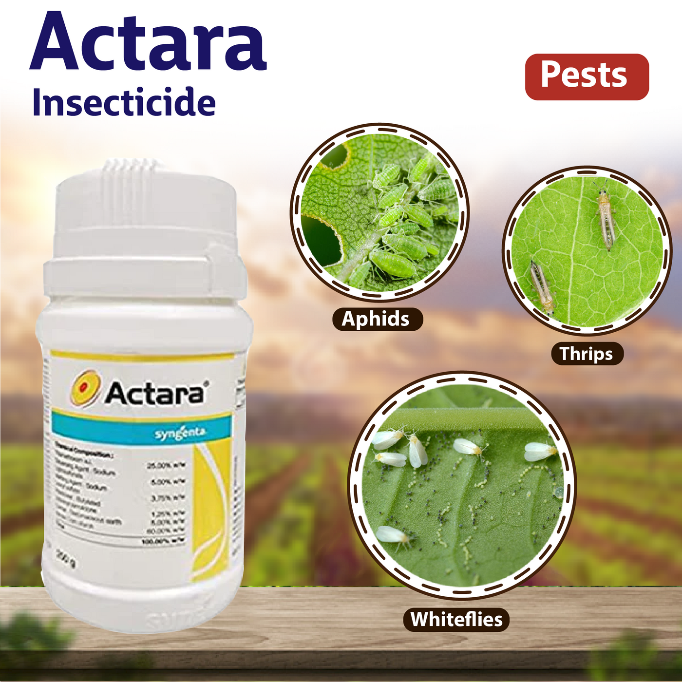 Syngenta Actara Insecticide – Agriplex