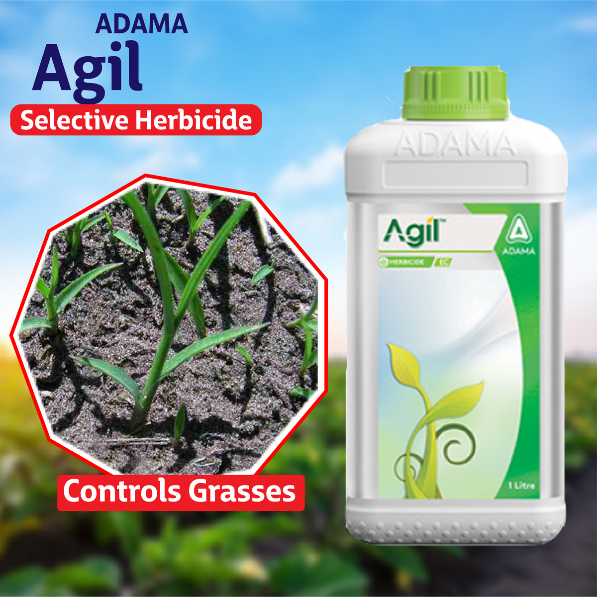Adama Agil Herbicide – Agriplex