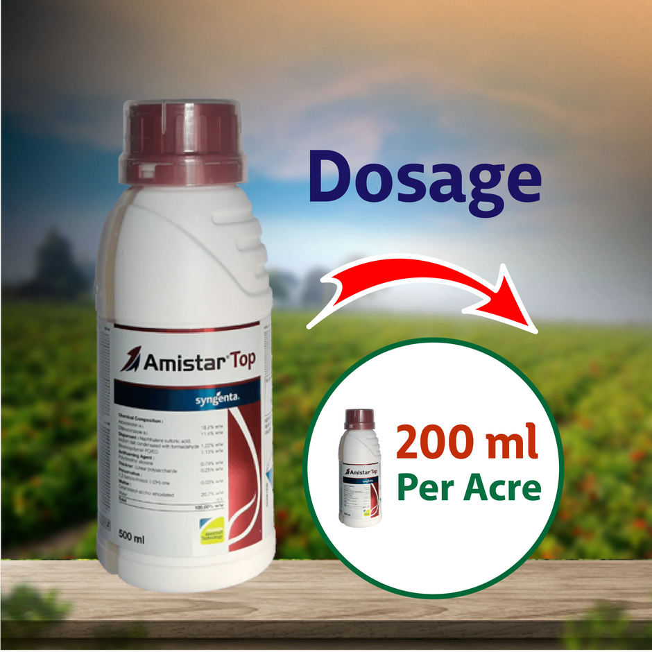 Syngenta Amistar Top Fungicide – Agriplex