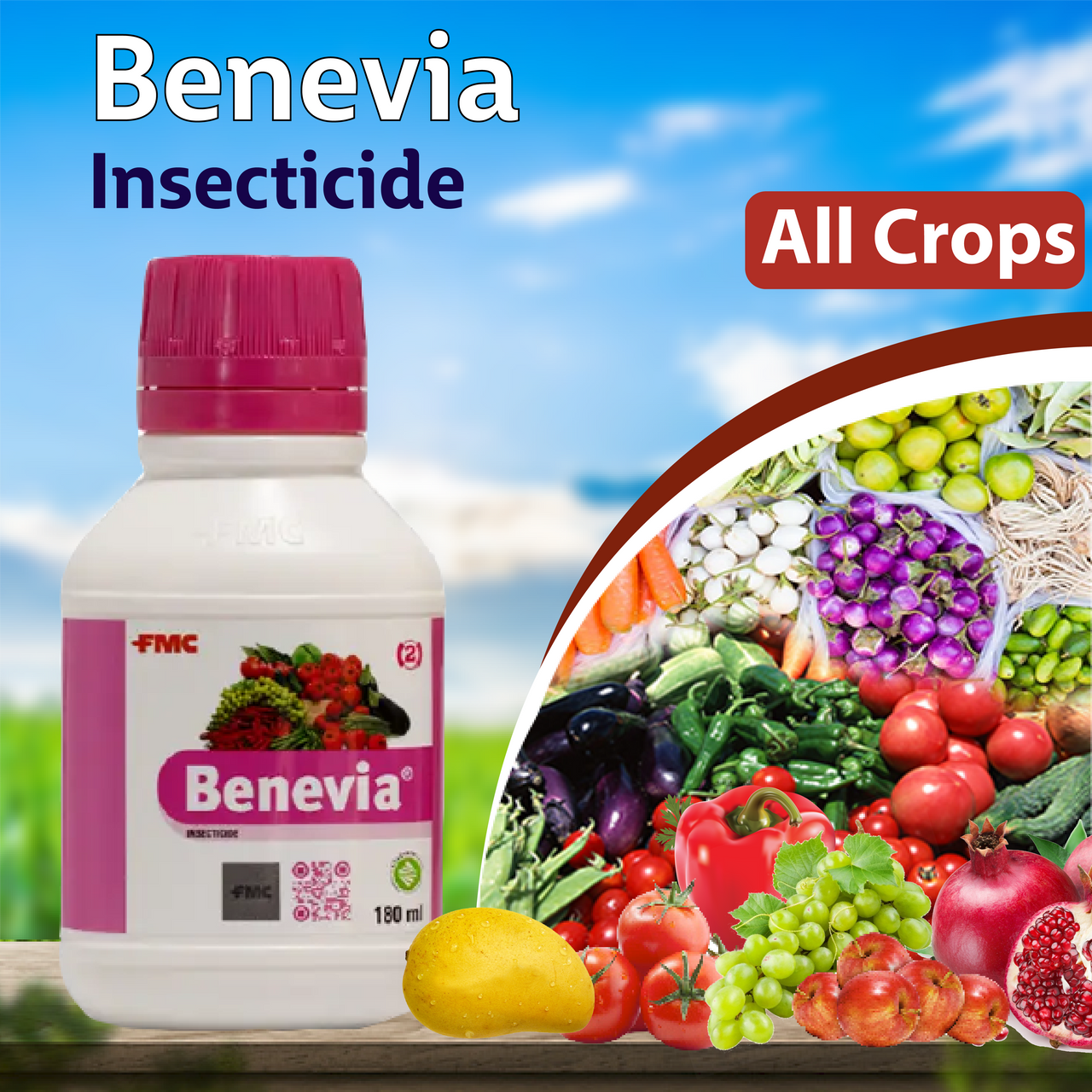 FMC Benevia Insecticide (CYANTRANILIPROLE 10.26% OD) – Agriplex