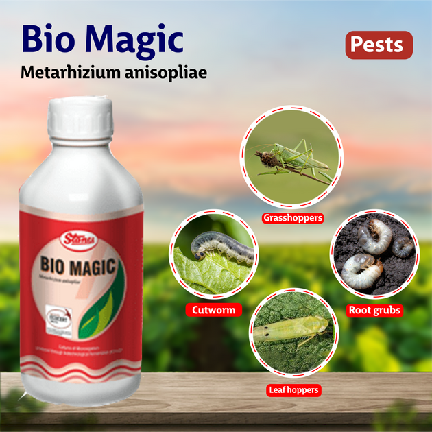 T Stanes Bio-Magic Pesticide - 1 LT – Agriplex