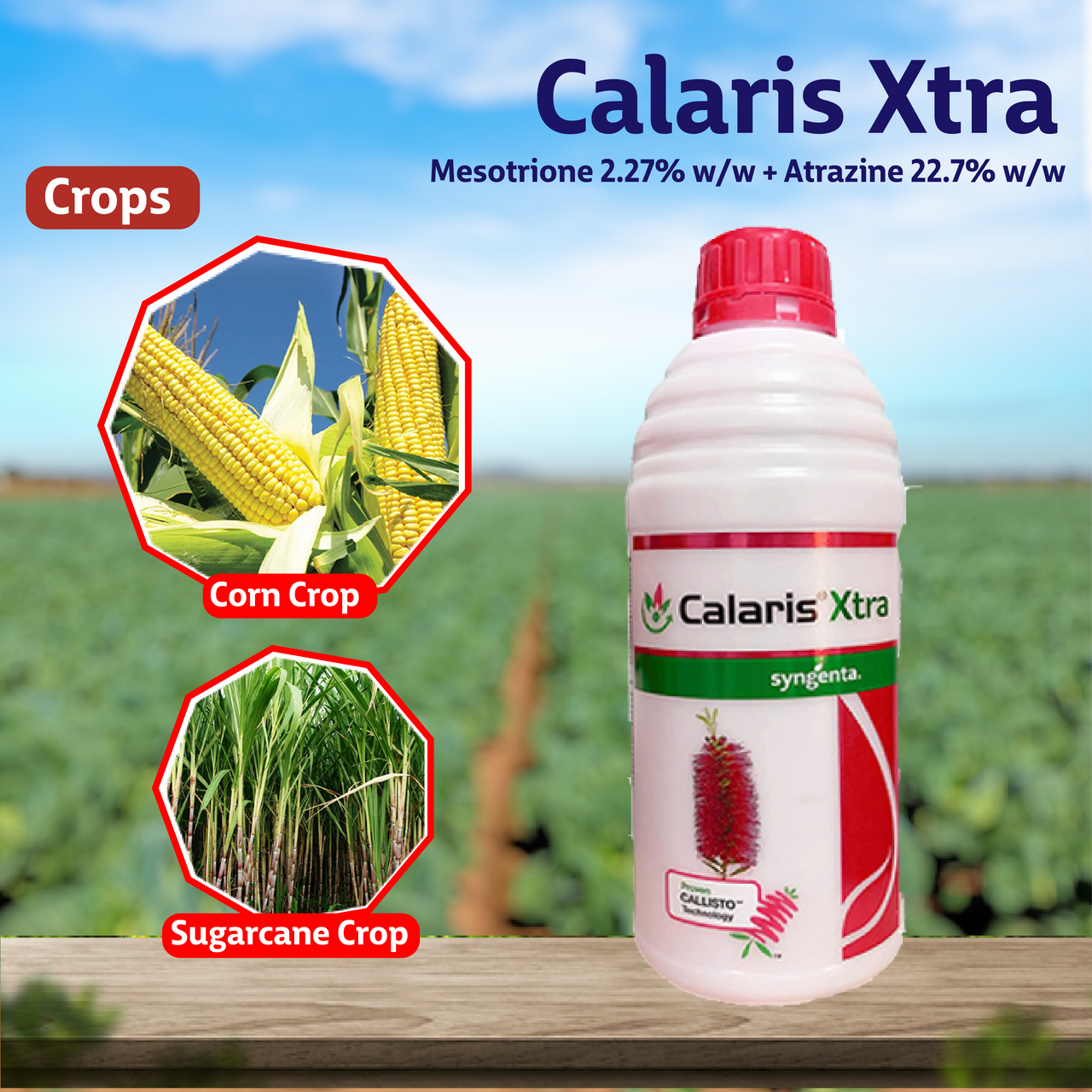 Syngenta Calaris Xtra Herbicide – Agriplex
