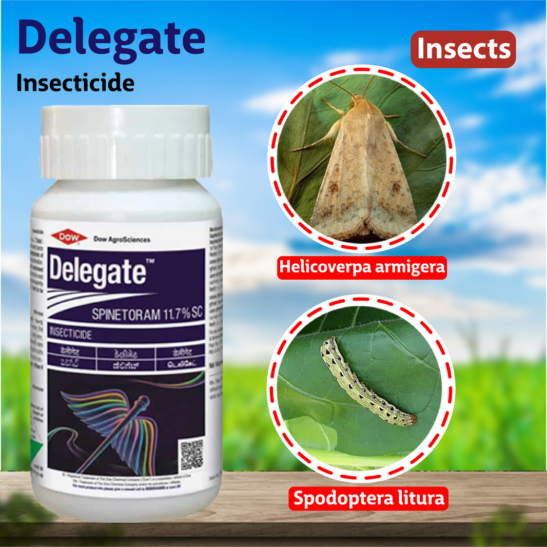 Corteva Delegate Insecticide – Agriplex