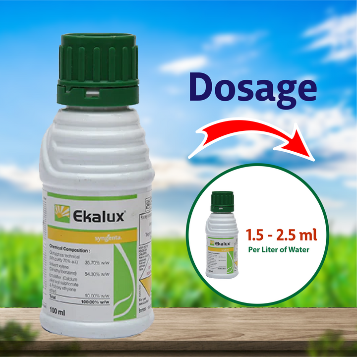 Syngenta Ekalux (Quinalphos 25% EC) Insecticide – Agriplex