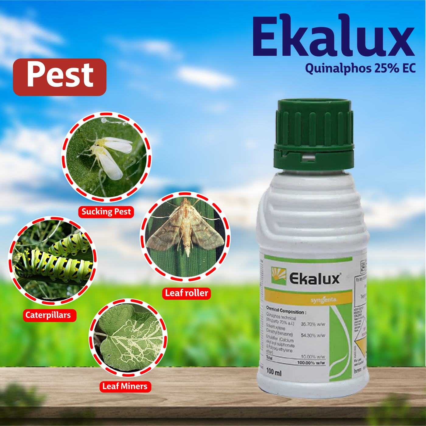 Syngenta Ekalux (Quinalphos 25% EC) Insecticide – Agriplex