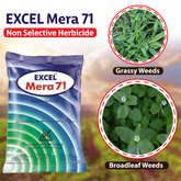 Excel Mera 71 Herbicide ( Glyphosate 71% Sg) – Agriplex