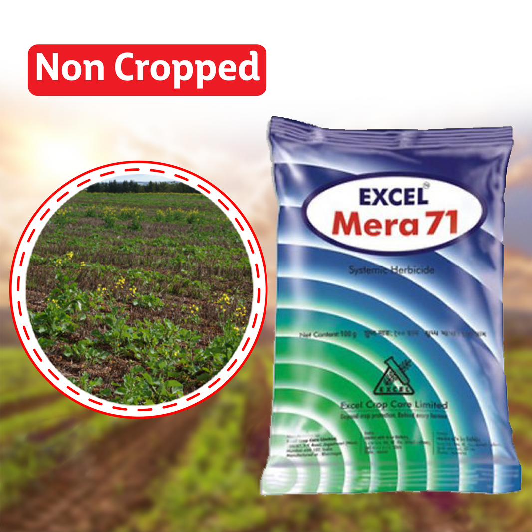 Excel Mera 71 Herbicide ( Glyphosate 71% Sg) - 100 GM – Agriplex