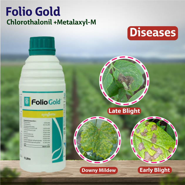 Syngenta Folio Gold Fungicide – Agriplex