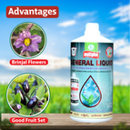 Multiplex General Liquid (Micronutrient Liquid Fertilizer) – Agriplex