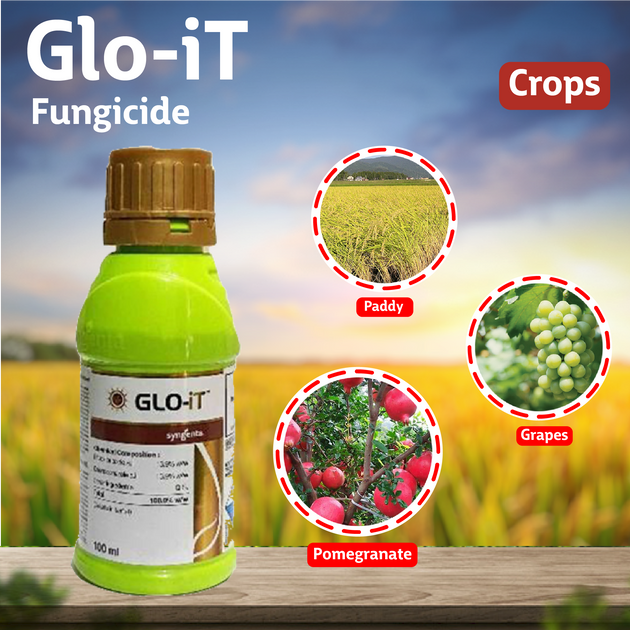 Syngenta Glo-iT Fungicide – Agriplex