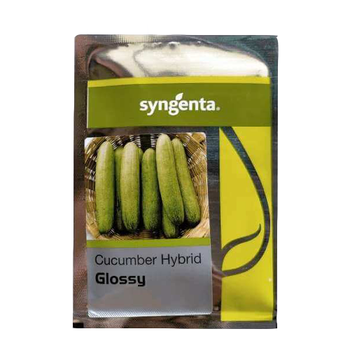Unleash High-Yielding Cucumber Seeds Online - Agriplex