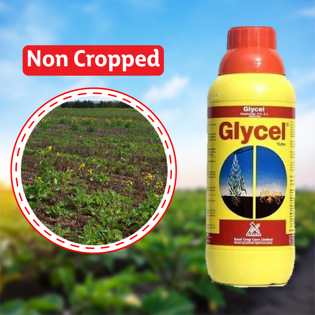 Sumitomo Glycel Herbicide – Agriplex