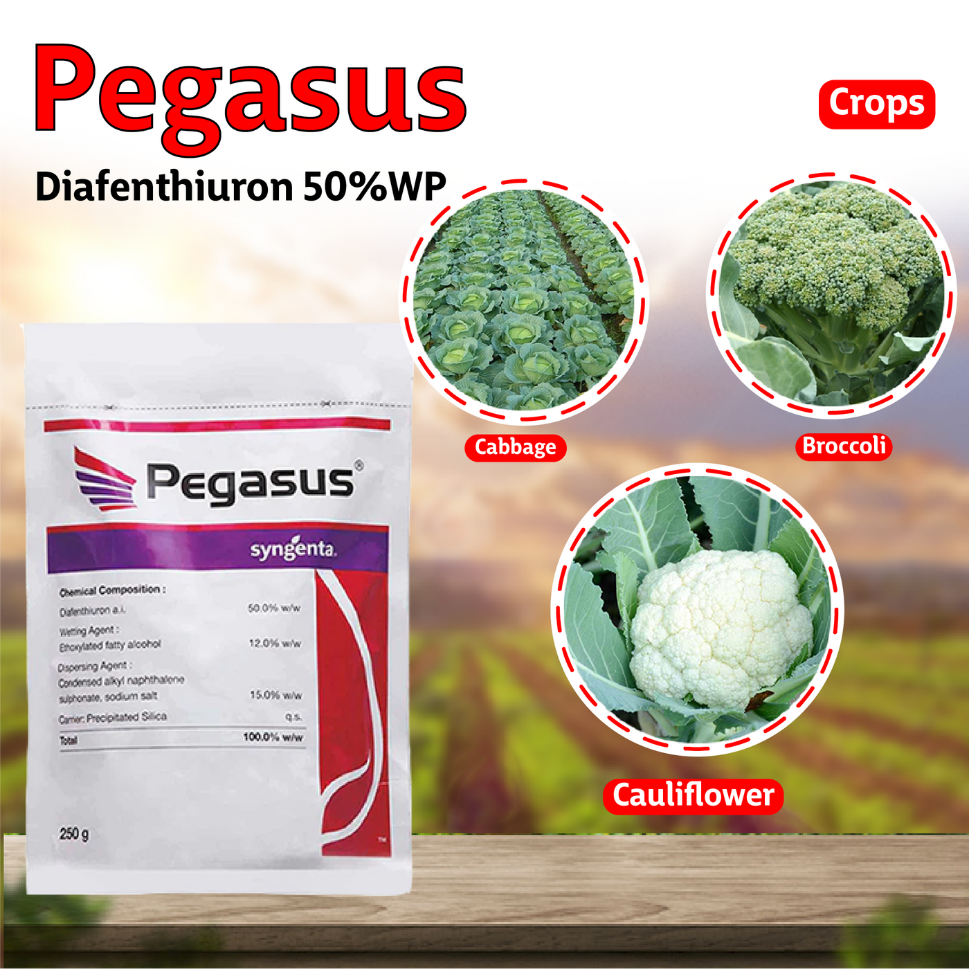 Syngenta Pegasus (Diafenthiuron 50%WP) Insecticide – Agriplex