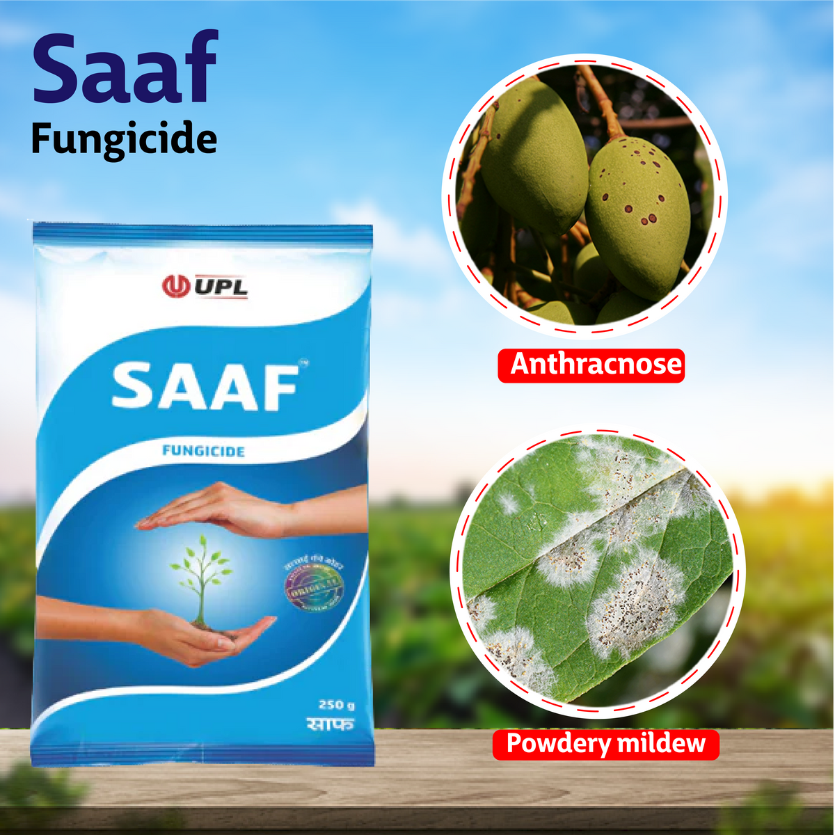 UPL Saaf Fungicide – Agriplex