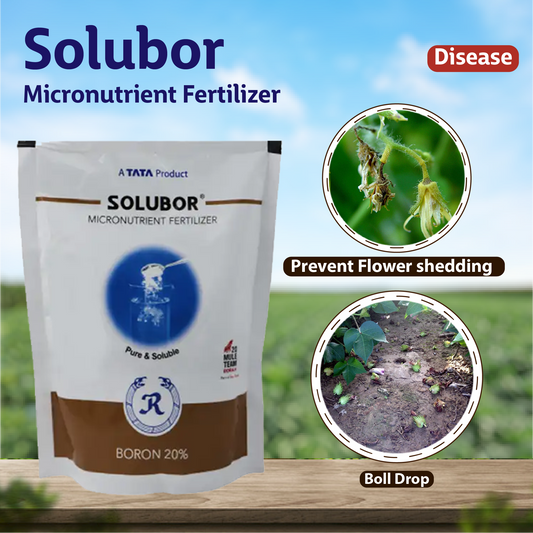Tata Solubor (Boron 20%) Micronutrient Fertilizer – Agriplex