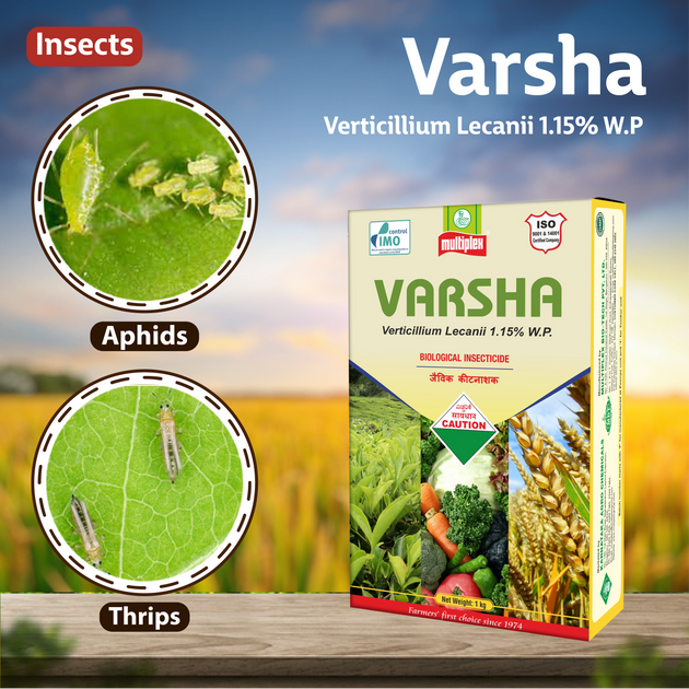 Multiplex Varsha (Verticillium lecanii) Powder -1 KG – Agriplex