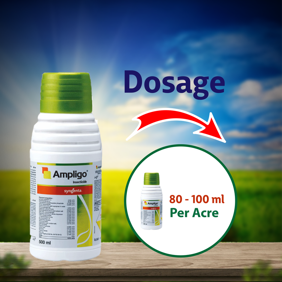 Syngenta Ampligo Insecticide – Agriplex