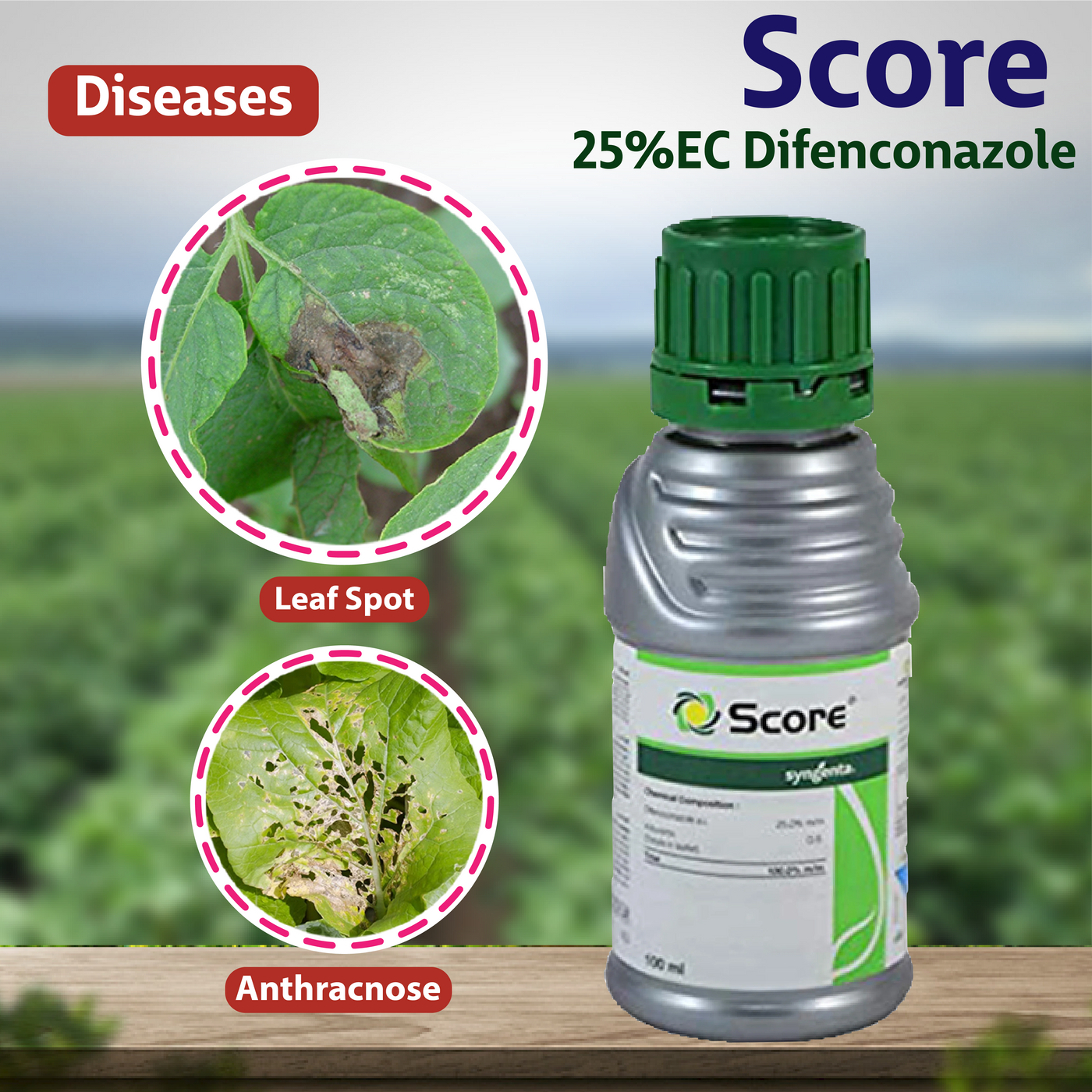 Syngenta Score Fungicide – Agriplex